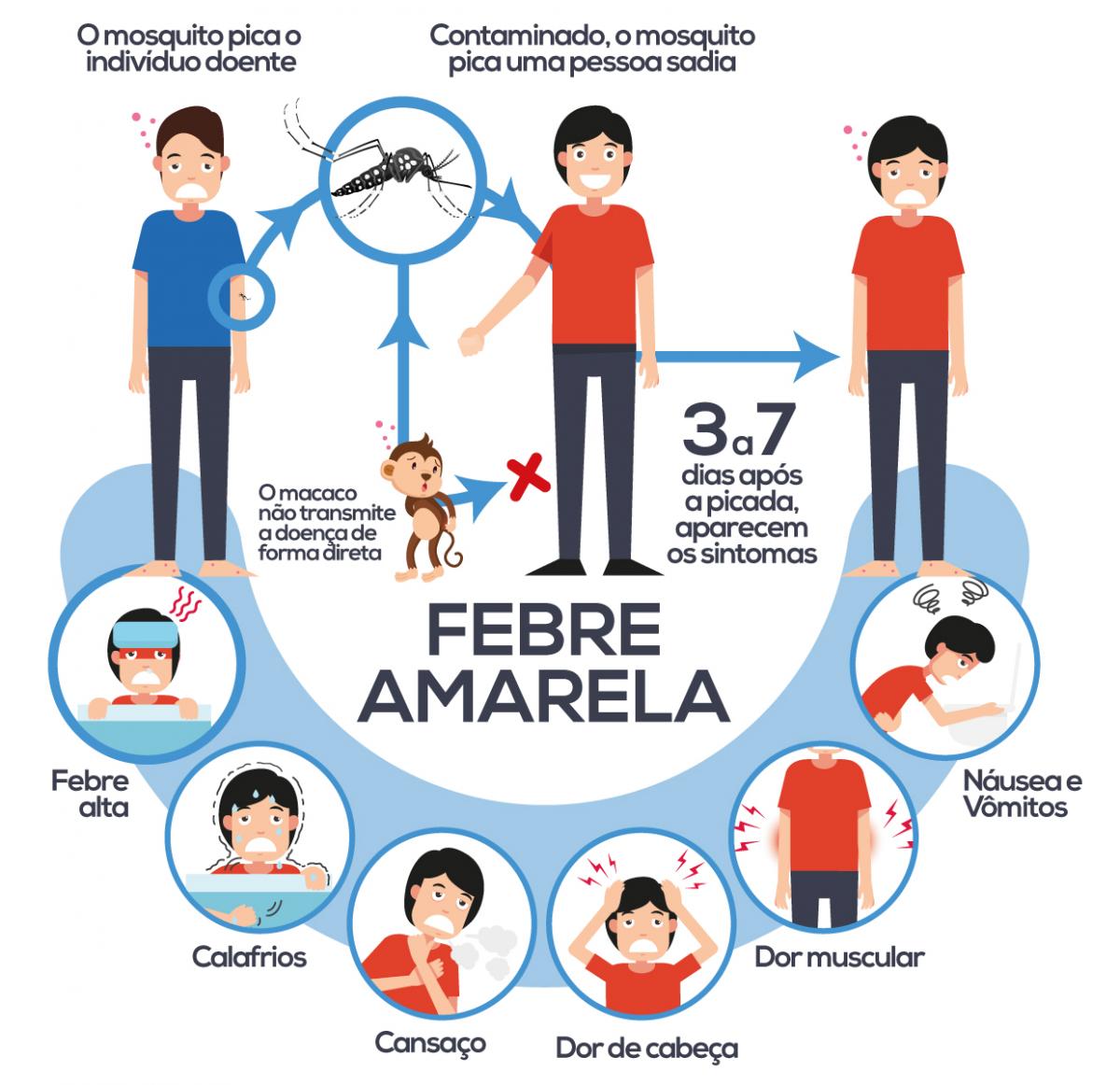 Febre Amarela | Vacina | Transmissão | Sintomas